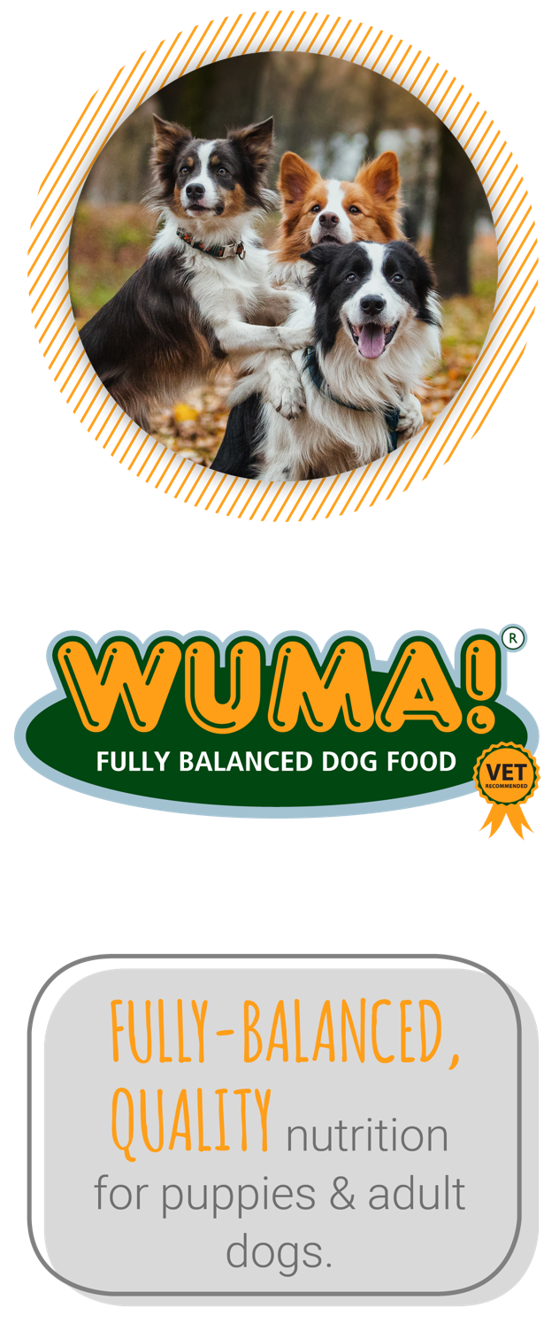 Pet Nutrition Experts | High Quality Pet Food | Montego Pet Nutrition