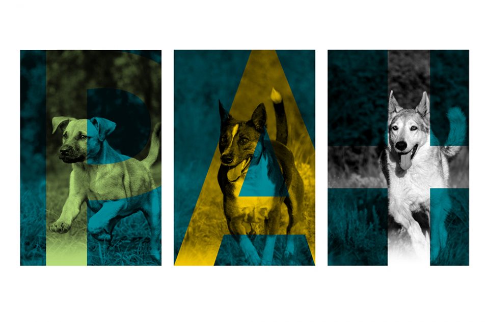 Make Way for the New WUMA! - Montego Pet Nutrition