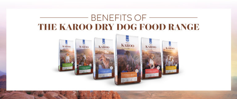 Benefits of the Karoo Dry Dog Food Range - Montego Pet Nutrition