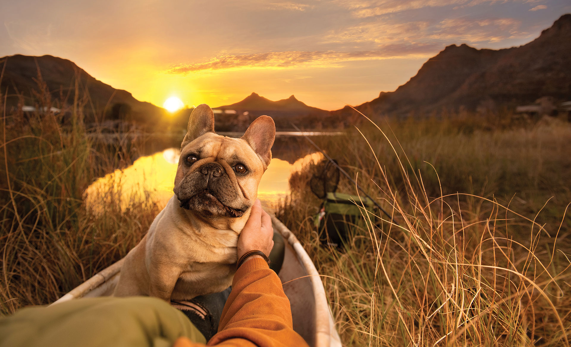 Karoo Skin & Coat Support Dry Food - Montego Pet Nutrition