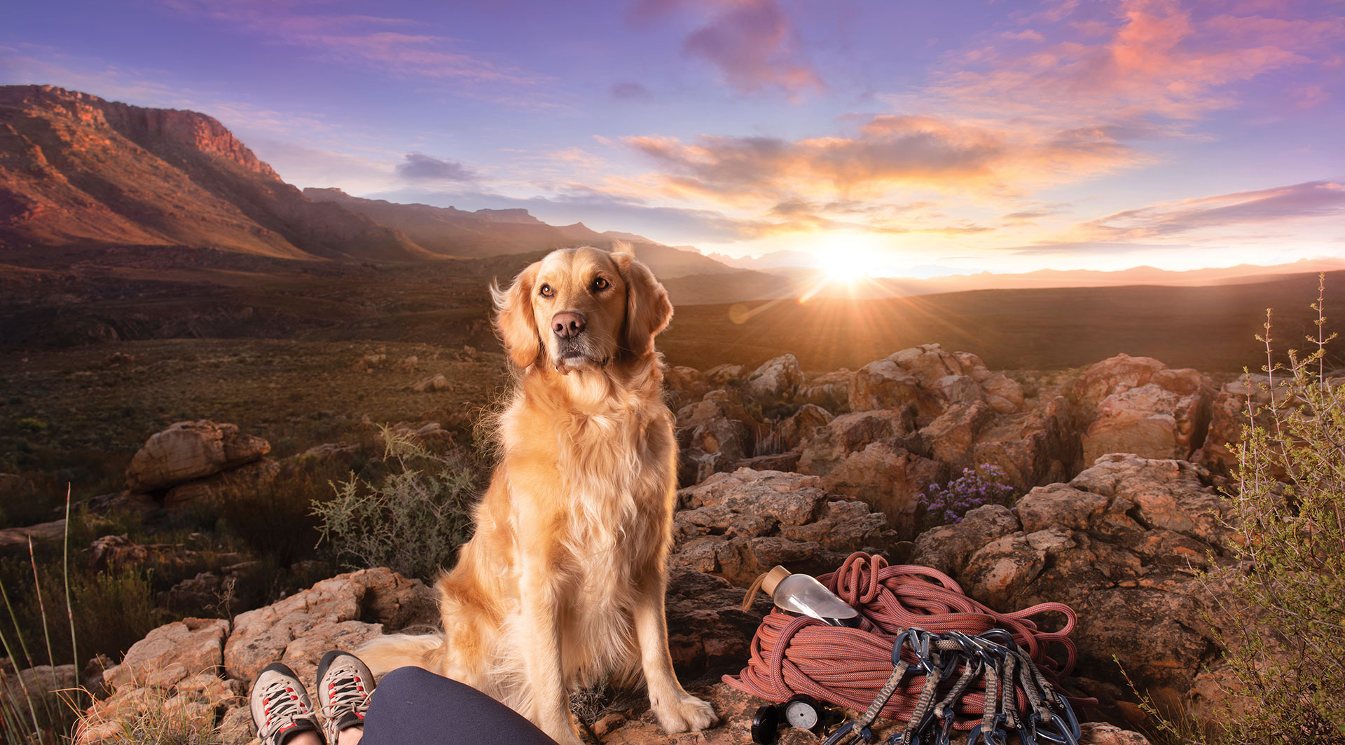 Karoo Sensitive Gut Health Dry Food - Montego Pet Nutrition