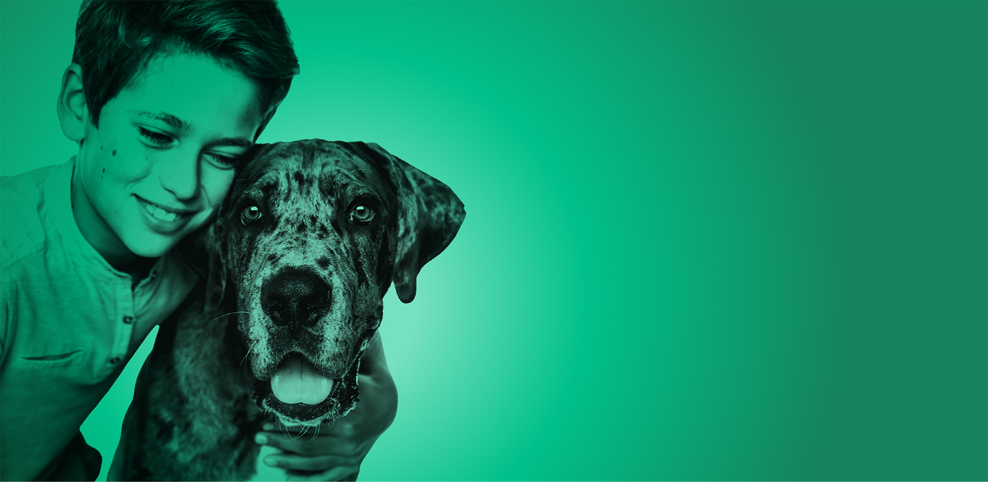 Large to Giant Breed Puppy Classic Dog - Montego Pet Nutrition