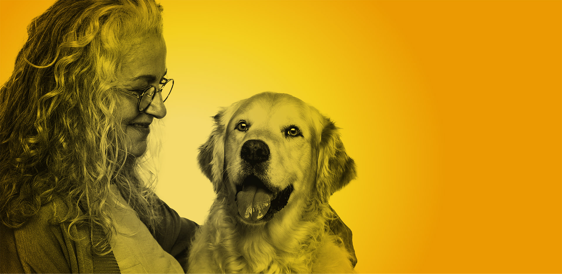 All Breed Senior Classic Dog - Montego Pet Nutrition