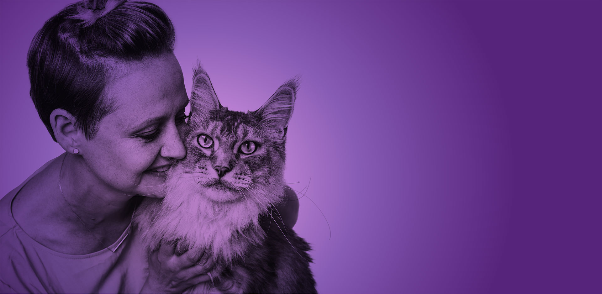 All Breed Adult Classic Cat – Succulent Chicken - Montego Pet Nutrition