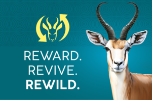 Our News - Montego Pet Nutrition